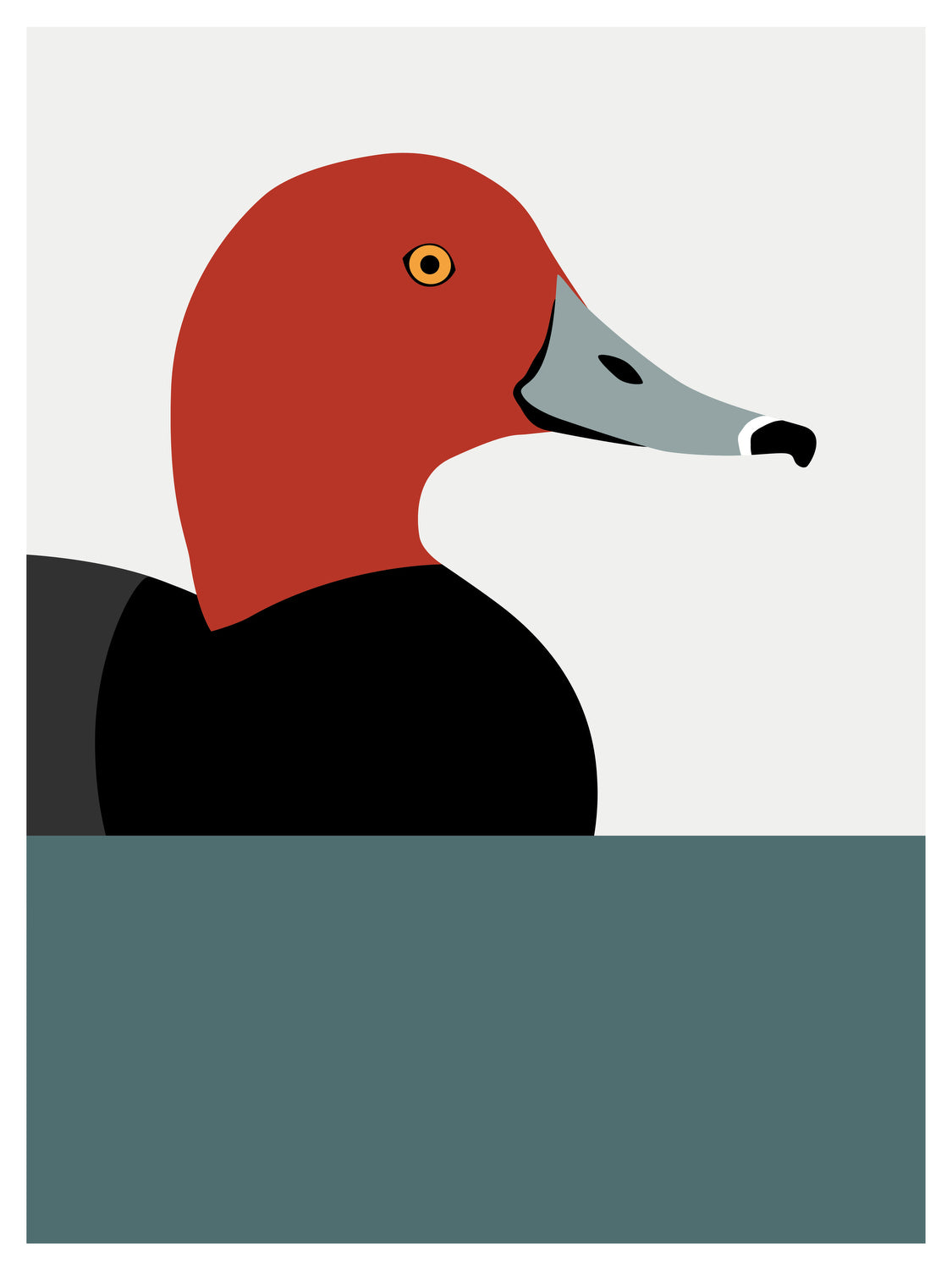 Print Collection - Duck, Redhead