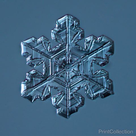 Print Collection - Stellar Plate Snowflake 3.03.23.2014