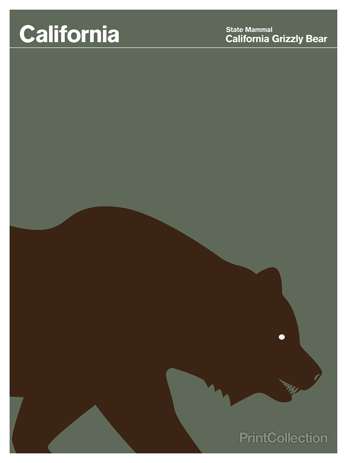 Print Collection - California Grizzly Bear