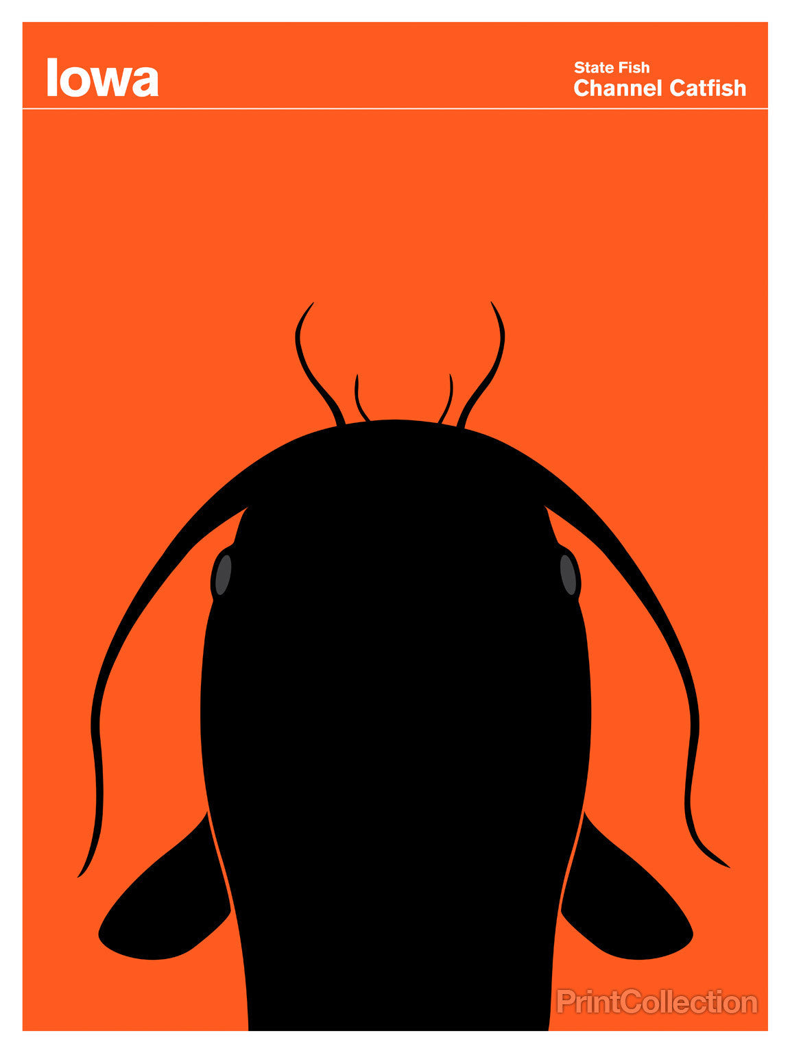 Print Collection - Iowa Channel Catfish