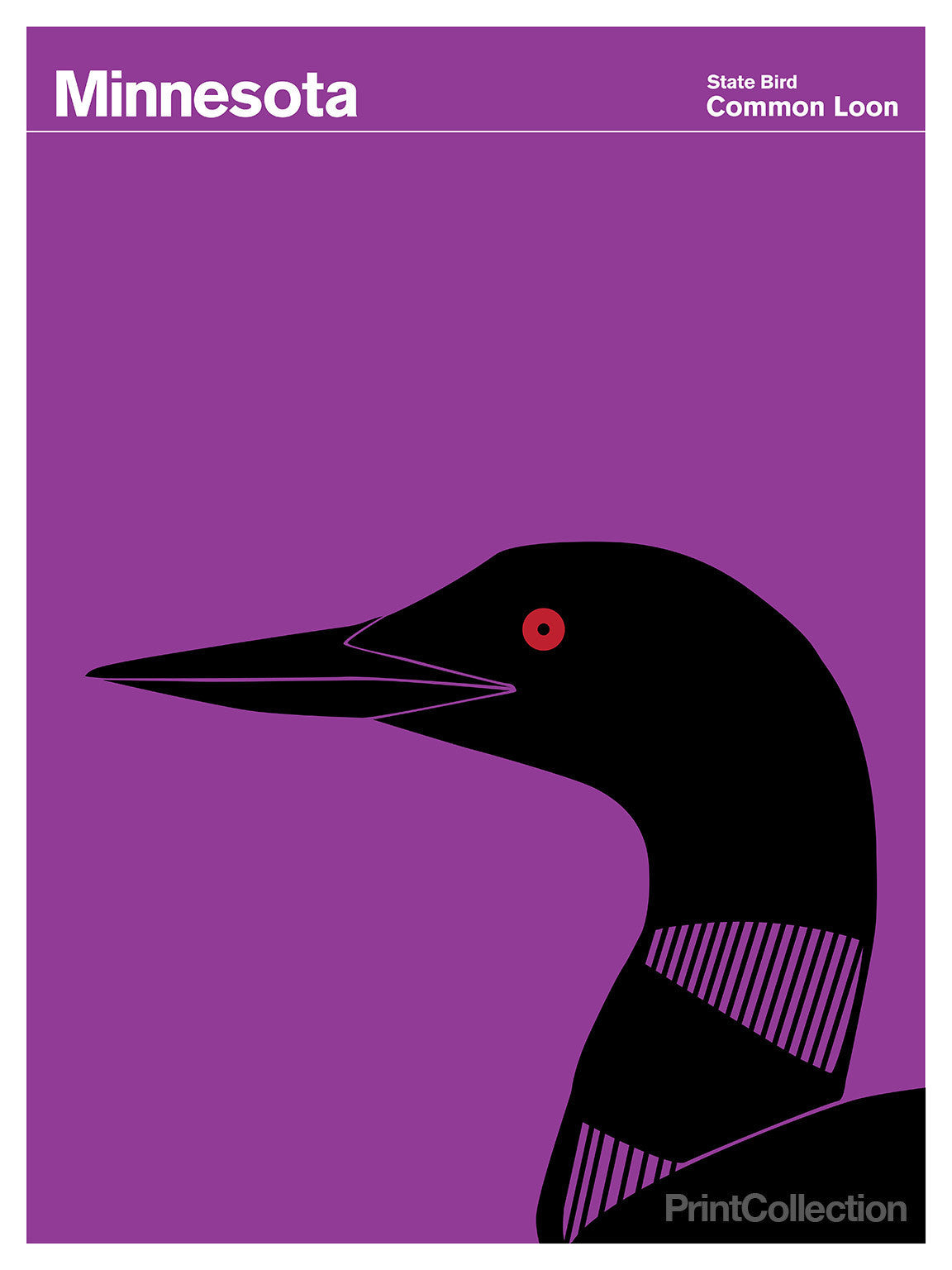 Print Collection - Minnesota Common Loon
