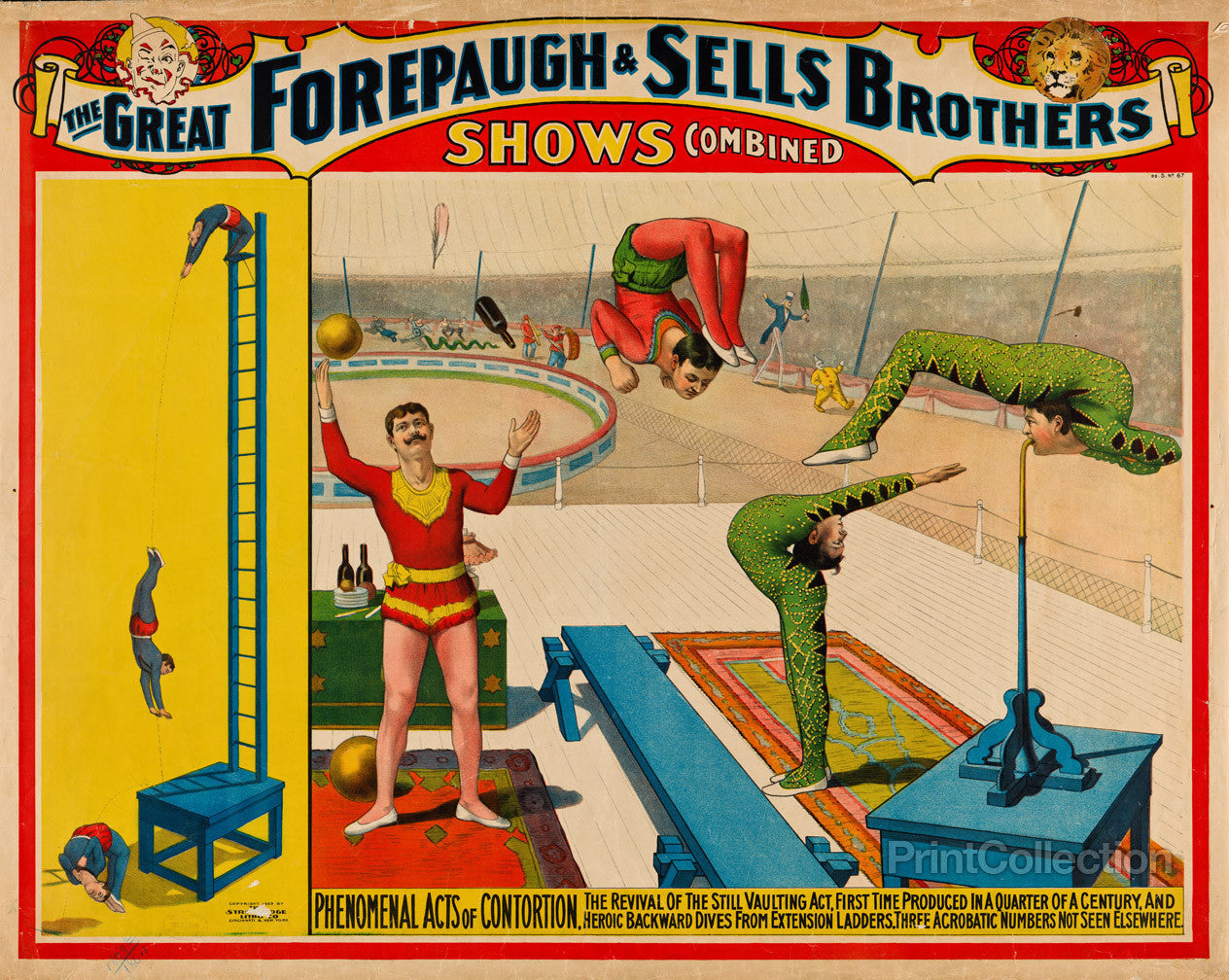 Print Collection - Phenomenal Acts of Contortion