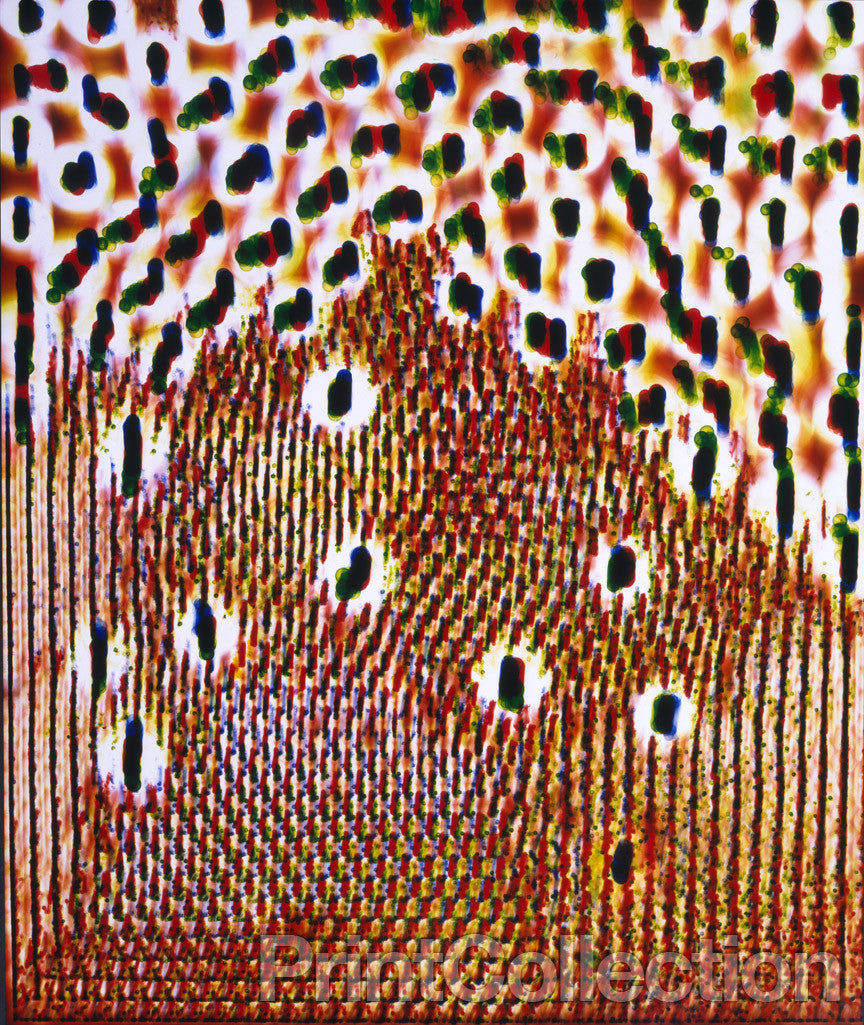 Print Collection - Photogram "Circles Shaking"