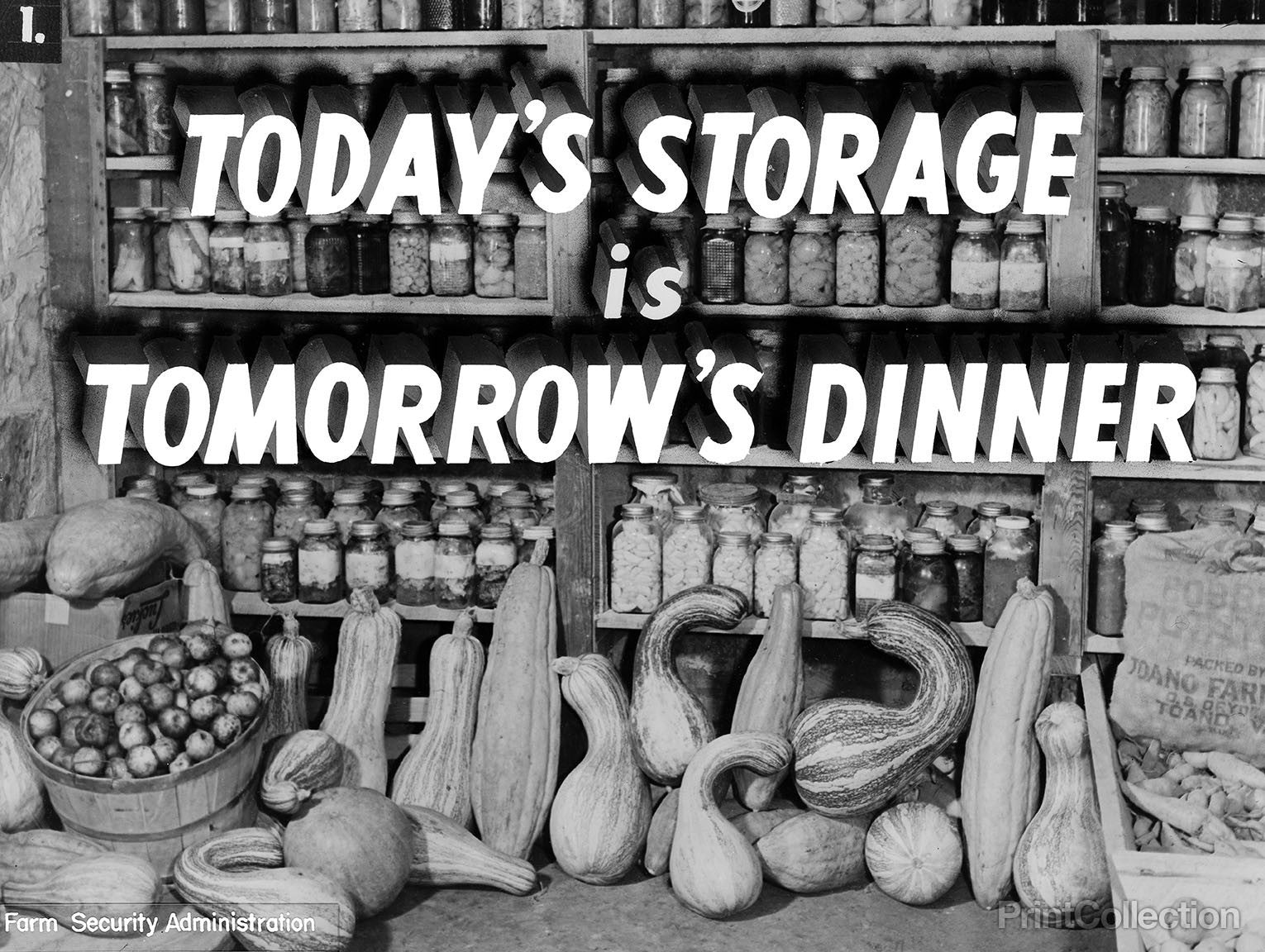 Print Collection - Today's Storage, Tomorrow's Dinner