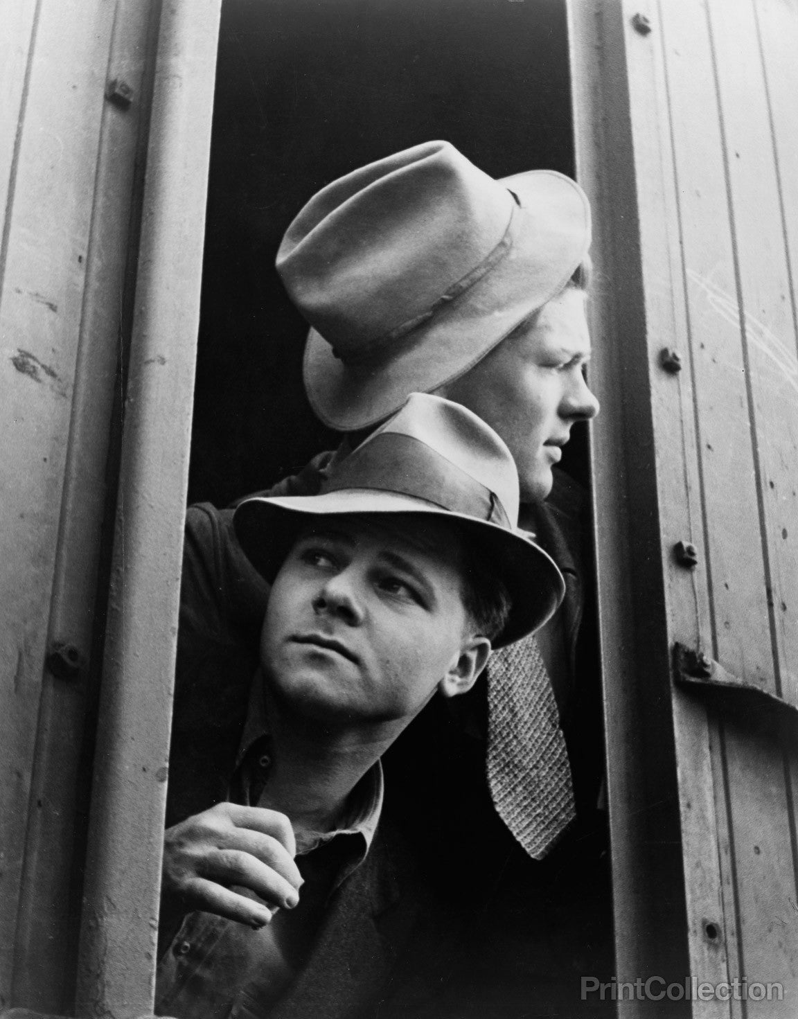 Print Collection - Which Way Did He Go?