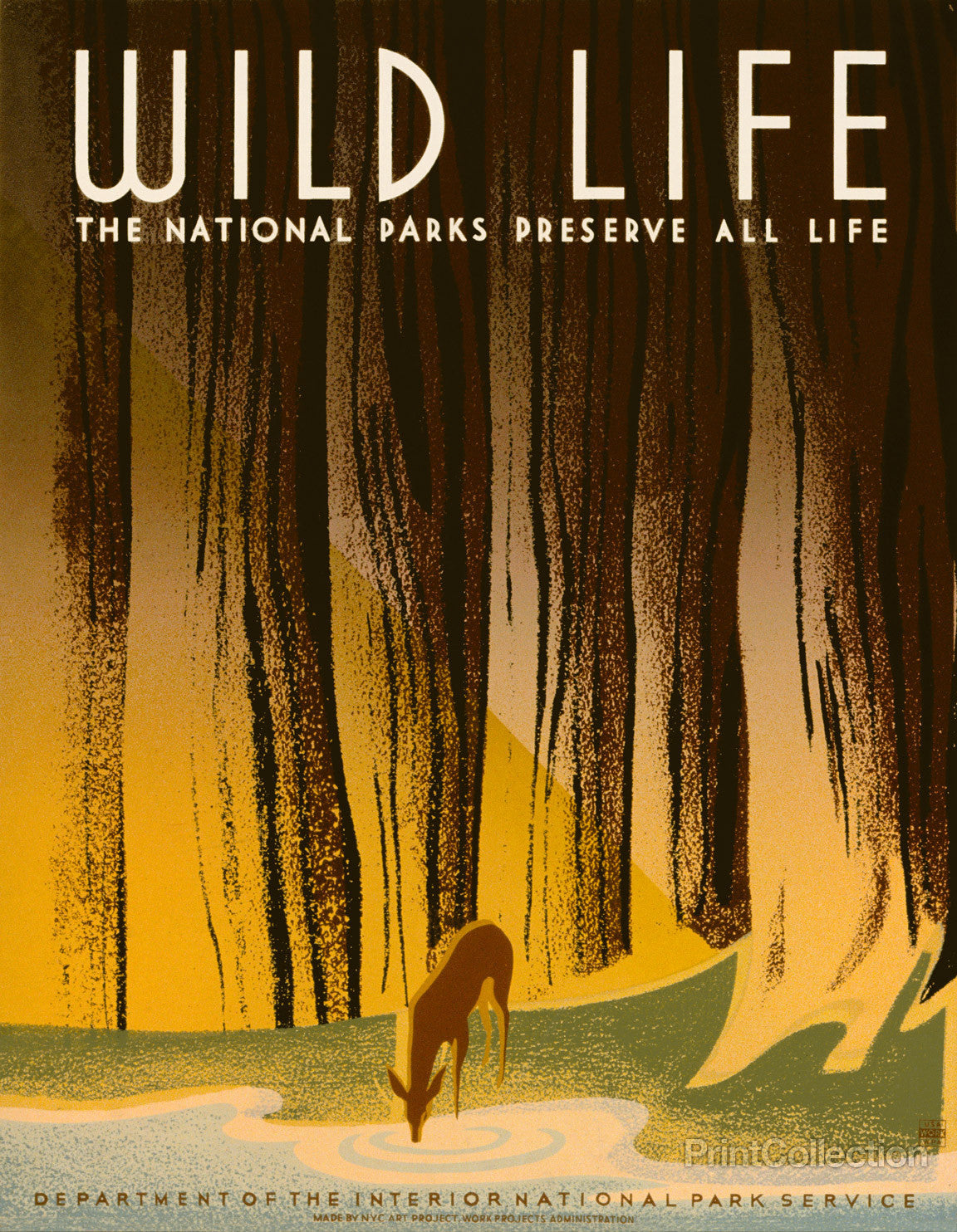 Print Collection - Wild Life, WPA Poster
